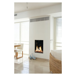 Ortal Clear 60x80 Fireplace - Contemporary - Living Room - Denver - by ...