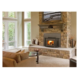 Quadra-Fire 3100i Wood Insert - Traditional - Living Room - Minneapolis ...