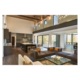 Regan - Modern - Living Room - Other - by Trauner Fay Designs | Houzz