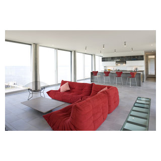 River House Living Room - Modern - Living Room - Baltimore - by Ziger ...