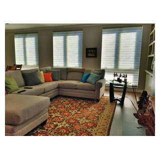 Solera Soft Shades by Hunter Douglas - Transitional - Living Room ...