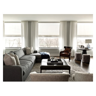 South Loop Condo - Transitional - Living Room - Chicago - by Cynthia ...