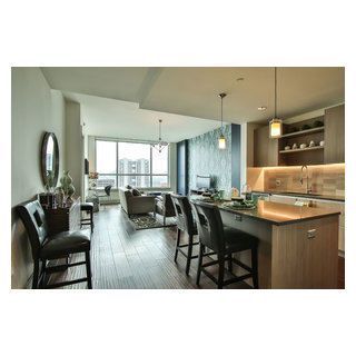 Southmore apartment - Modern - Living Room - DC Metro - by Inner Loop ...