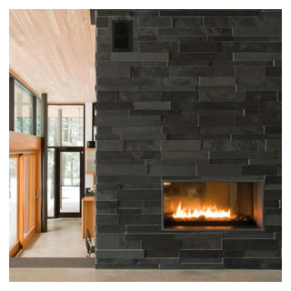 Spark Modern Fires - Modern - Living Room - New York - by Spark Modern ...