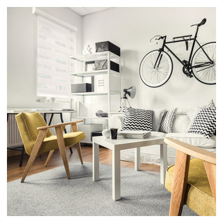 Striped Dove (Dual Layer & Privacy) - Zebra Shades - Modern - Living ...