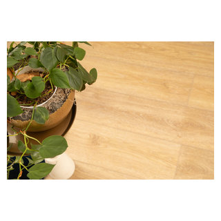 Sutton Signature | 1810 State Street Apartments - Midcentury - Living ...