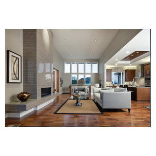 The Alemeda II - Modern - Living Room - Kansas City - by Suma Design ...