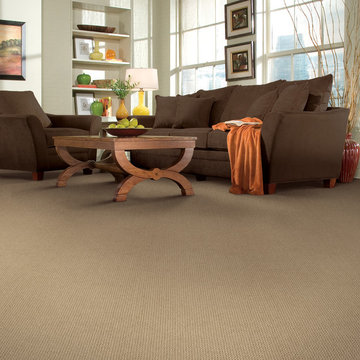 Tigressa Carpet - Photos & Ideas | Houzz