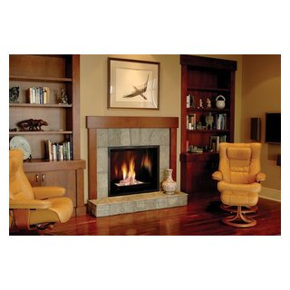 Town & Country 42 Inch Gas Fireplace - Traditional - Living Room ...