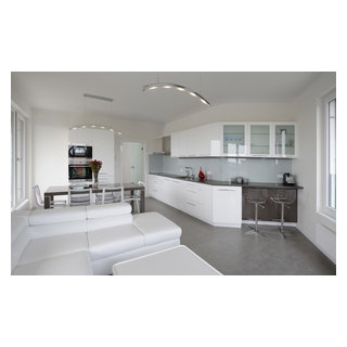 White lacquered furniture - Modern - Living Room - Other - by HANÁK ...