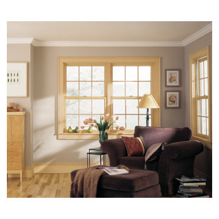 Windows - Modern - Living Room - Baltimore - by ELEVATIONS | Design ...