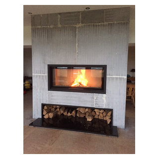 Woodfire Insert FIre - Modern - Living Room - Other - by Greenflame ...