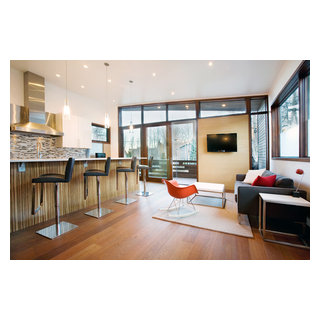 wrap house - Modern - Living Room - Denver - by Studio B Architecture ...