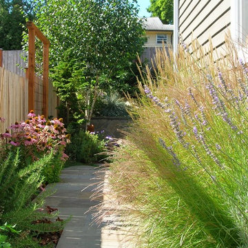 American Garden Design Ideas, Inspiration & Images - March 2024 | Houzz IN