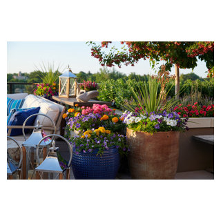 A Cherry Creek Rooftop Container Garden - Contemporary - Patio - Denver ...