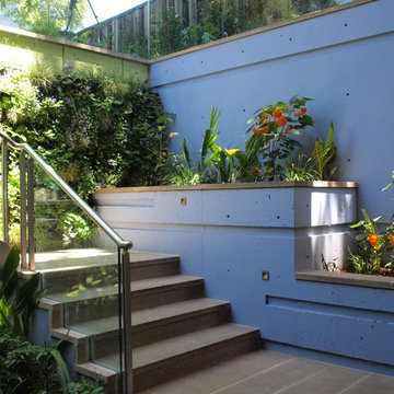 Below Grade - Photos & Ideas | Houzz