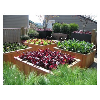 Cambridge, MA Rooftop Garden - Contemporary - Landscape - Boston - by ...