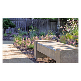 Concrete Bench in Sunlit Pollinator Garden - Contemporary - Landscape ...