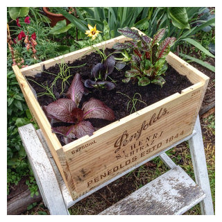 Edible containers - Éclectique - Terrasse et Patio - Melbourne - par ...