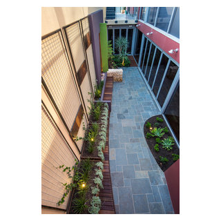 Fremantle Courtyard - Contemporary - Patio - Perth - by Cultivart ...