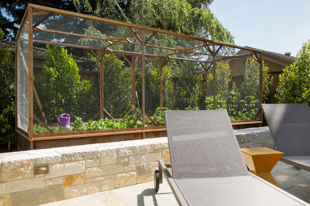 Tour 5 Gorgeous California Gardens