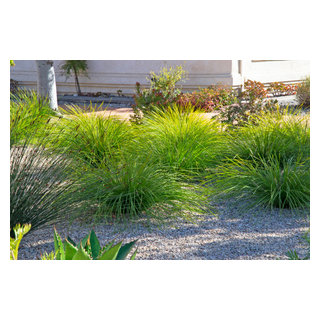 Mediterranean Metamorphosis - Mediterranean - Landscape - San Luis ...