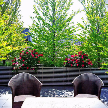 Paver Planter Box - Photos & Ideas | Houzz