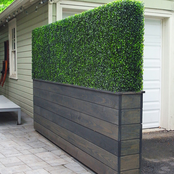 Cloud Pruned Hedge Boxwoods - Photos & Ideas | Houzz