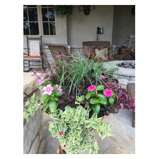 Sansone Container Gardens - Traditional - Patio - St Louis - by Kim ...