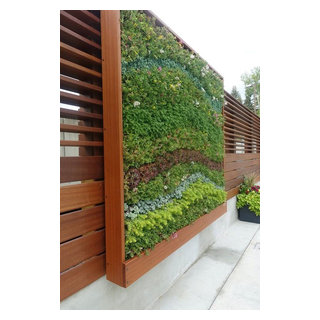 Sedum Outdoor Living Wall - Contemporary - Patio - Calgary - by ...