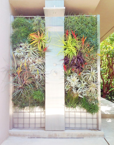 Bring More Green to Your Patio or Side Yard With a Living Wall