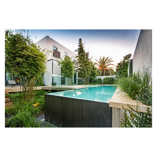 Albert Park Infinity Lap Pool and Spa - Contemporary - Pool - Melbourne ...