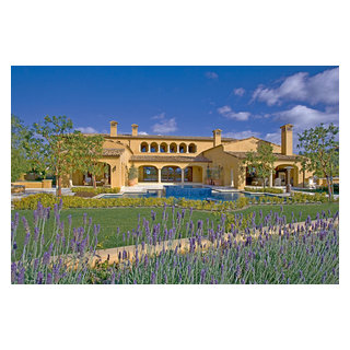 AMS - assorted Pool's and Spa environments - Transitional - Pool ...