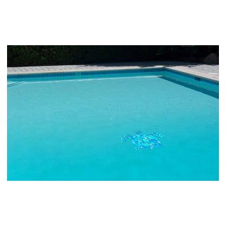 Aqua Glass Tile Pool with Jewel Accents- Maryland - Tropical - Pool ...