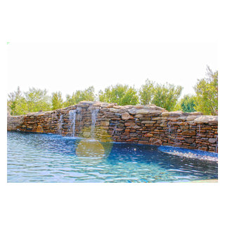 Aquarius - Custom Swimming Pool - Flower Mound, TX - Traditional - Pool ...