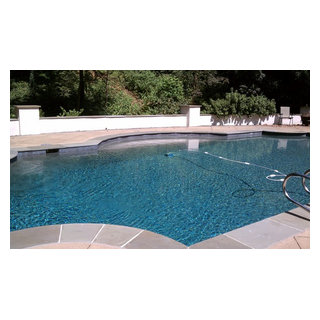 Atlanta Pool Renovations - Tahoe Blue PebbleTec with Tropical Breeze ...