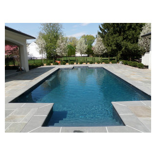 Bethlehem Township custom salt water pool with deck jets - Traditional ...
