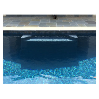 Bethlehem Township custom salt water pool with deck jets - Traditional ...