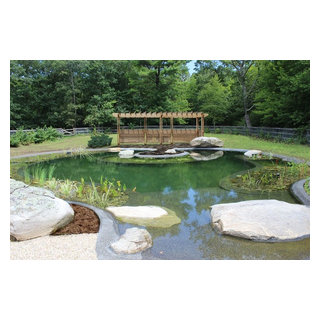 BioNova Natural Swimming Pool - Hartford, CT - Swimming Pool & Hot Tub ...