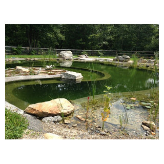 BioNova Natural Swimming Pool - Hartford, CT - Piscine - Bridgeport ...