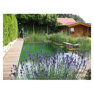 BioNova Natural Swimming Pools - International - Pool - Other - by ...