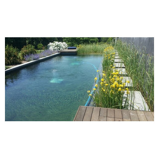 Biotop Natural swimming pool in Columbia County New York - Farmhouse ...