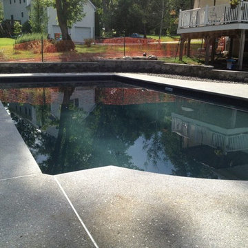 Black Pool Liner - Photos & Ideas | Houzz