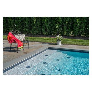 Burr Ridge, IL Swimming Pool With Sunshelf, Diving Board - Traditional ...