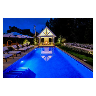 Burr Ridge Swimming Pool and Hot Tub Project - Traditional - Pool ...