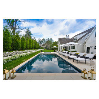 Burr Ridge Swimming Pool and Hot Tub Project - Traditional - Pools ...