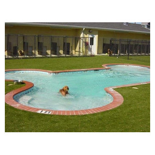 Canada Artificial Turf - Traditional - Pool - Calgary - by Southwest ...