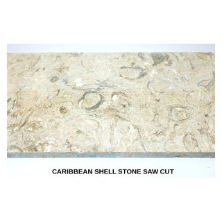 Caribbean Shell Stone - Tropical - Pool - Miami - by Coral Classics by ...