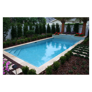 Celebration-Nab - Traditional - Pool - Orlando - by Signature Pools Inc ...