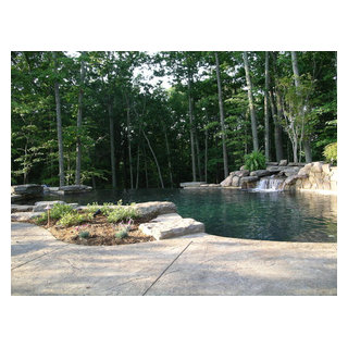 Chapel Hill pool, landscape - Traditional - Pool - Raleigh - by Down to ...